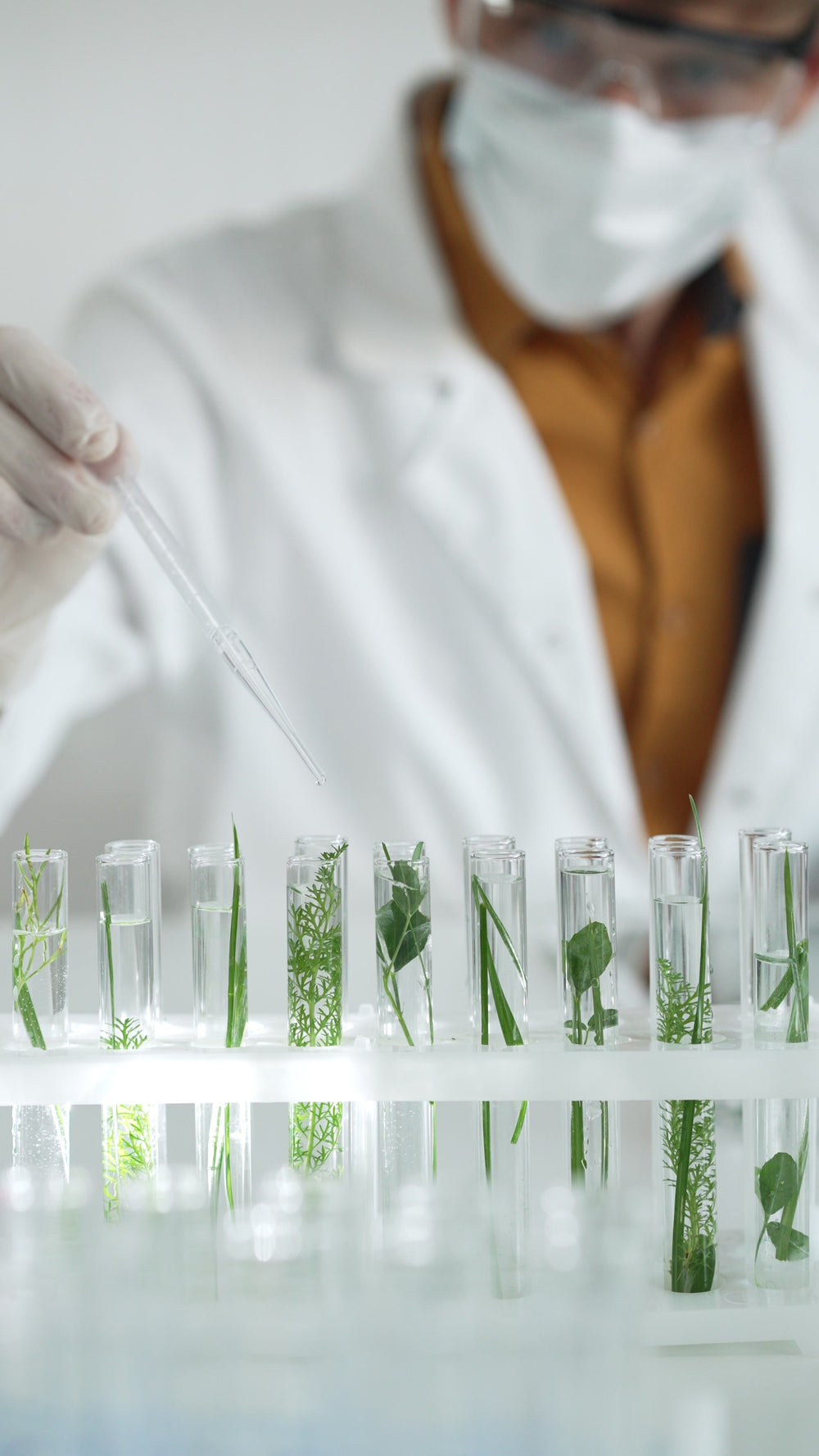 Why Gen Z is ditching pharma for plants